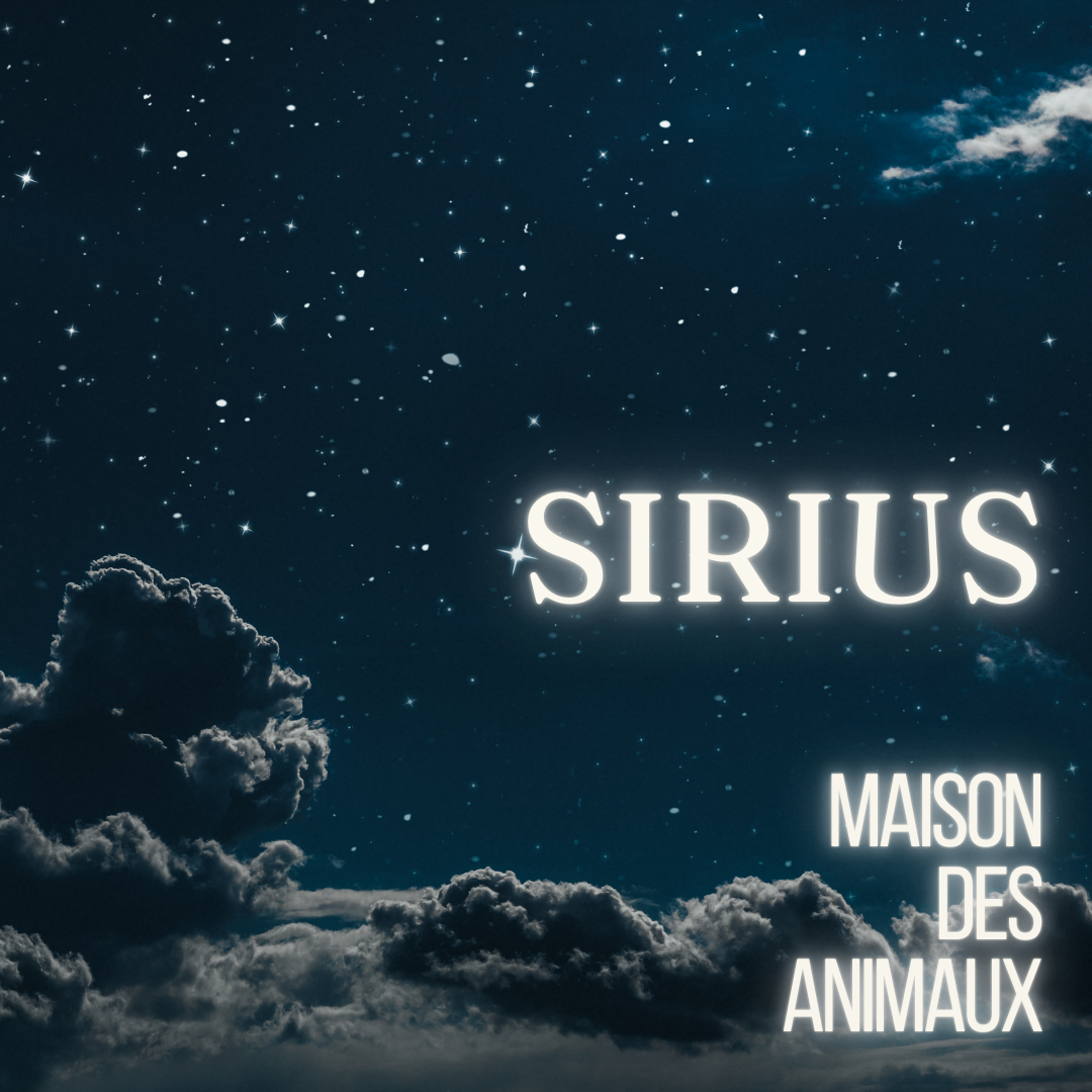 Sirius – Maison des Animaux Fragrances