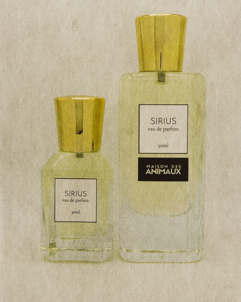 Sirius Eau de Parfum – Maison des Animaux Fragrances